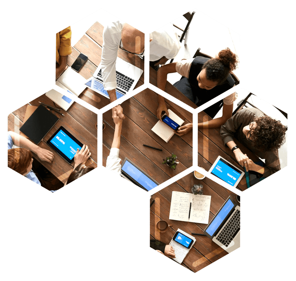 Advisory Boards and Independent Data Monitoring Committees - ALPHA CLINICAL